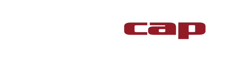 Datacap Brand Guidebook - Datacap