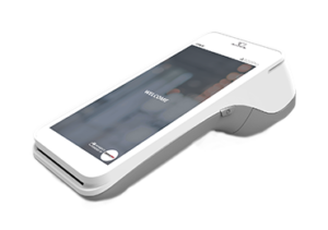 DC Direct Setup Guide - Datacap Systems, Inc.